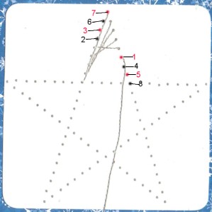 stitching the star